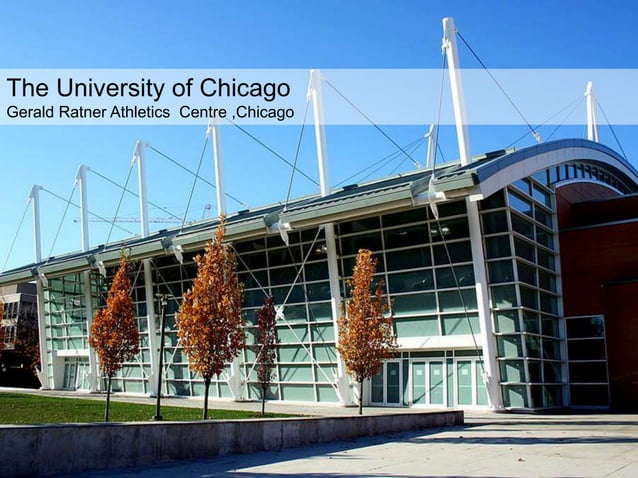 Case Study: Suspension Structures | PPTX