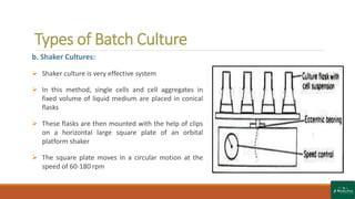 Cell Suspension Culture in Plants | PPTX