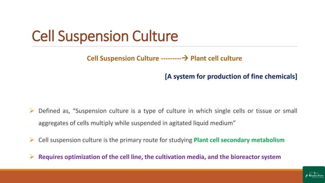 Cell Suspension Culture in Plants | PPTX | Biotech and Biomedical ...