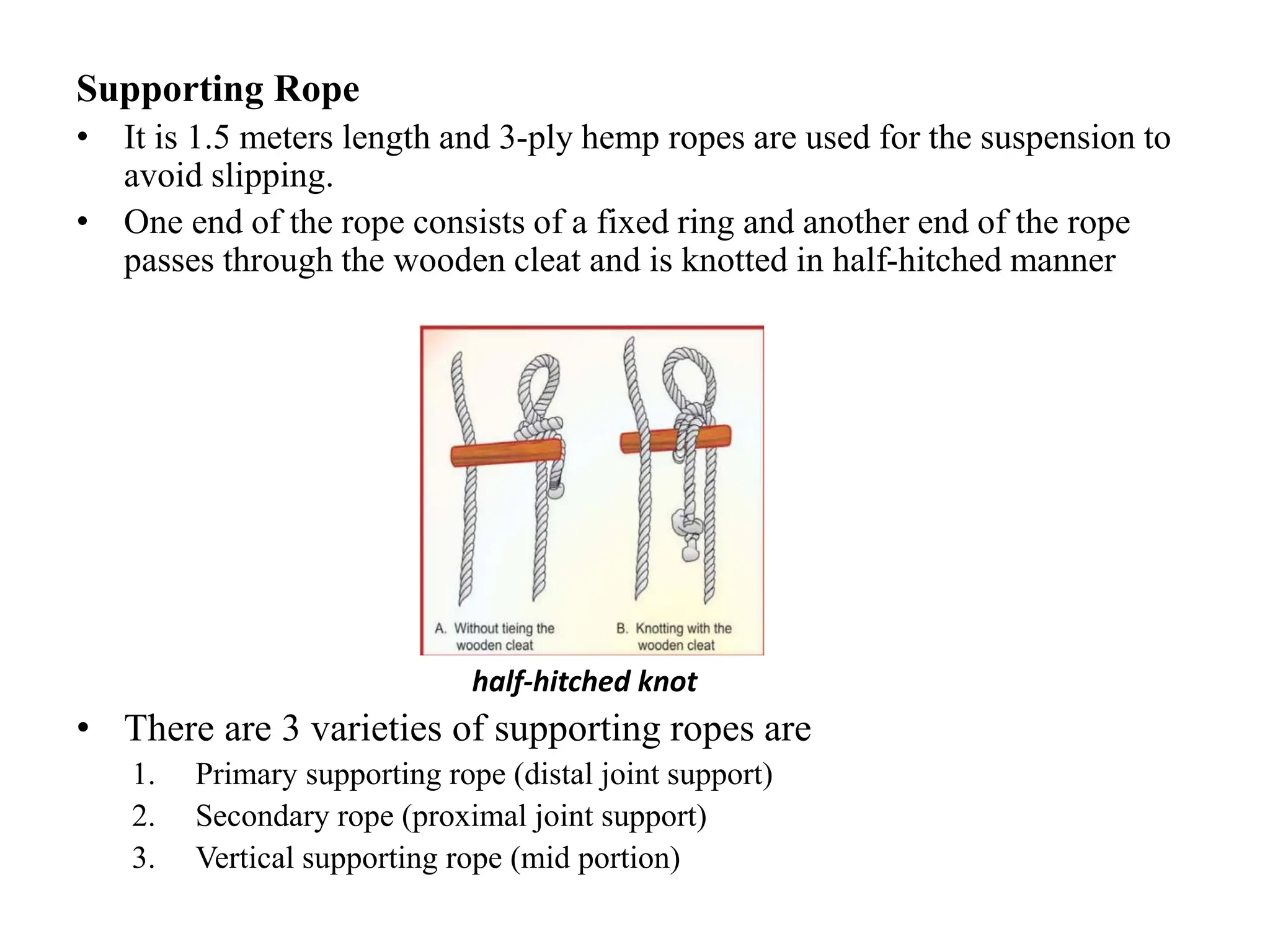 suspension therapy - Exercise thearpy.pptx
