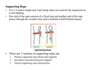 suspension therapy - Exercise thearpy.pptx