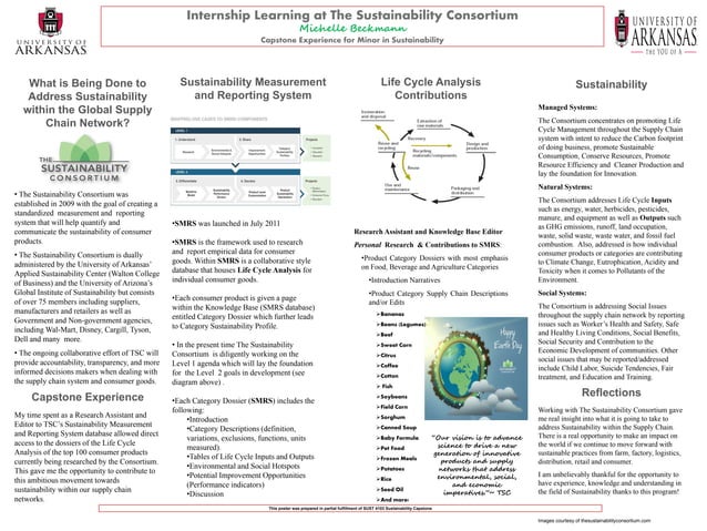 Sust 4103 capstone project poster beckmann | PDF