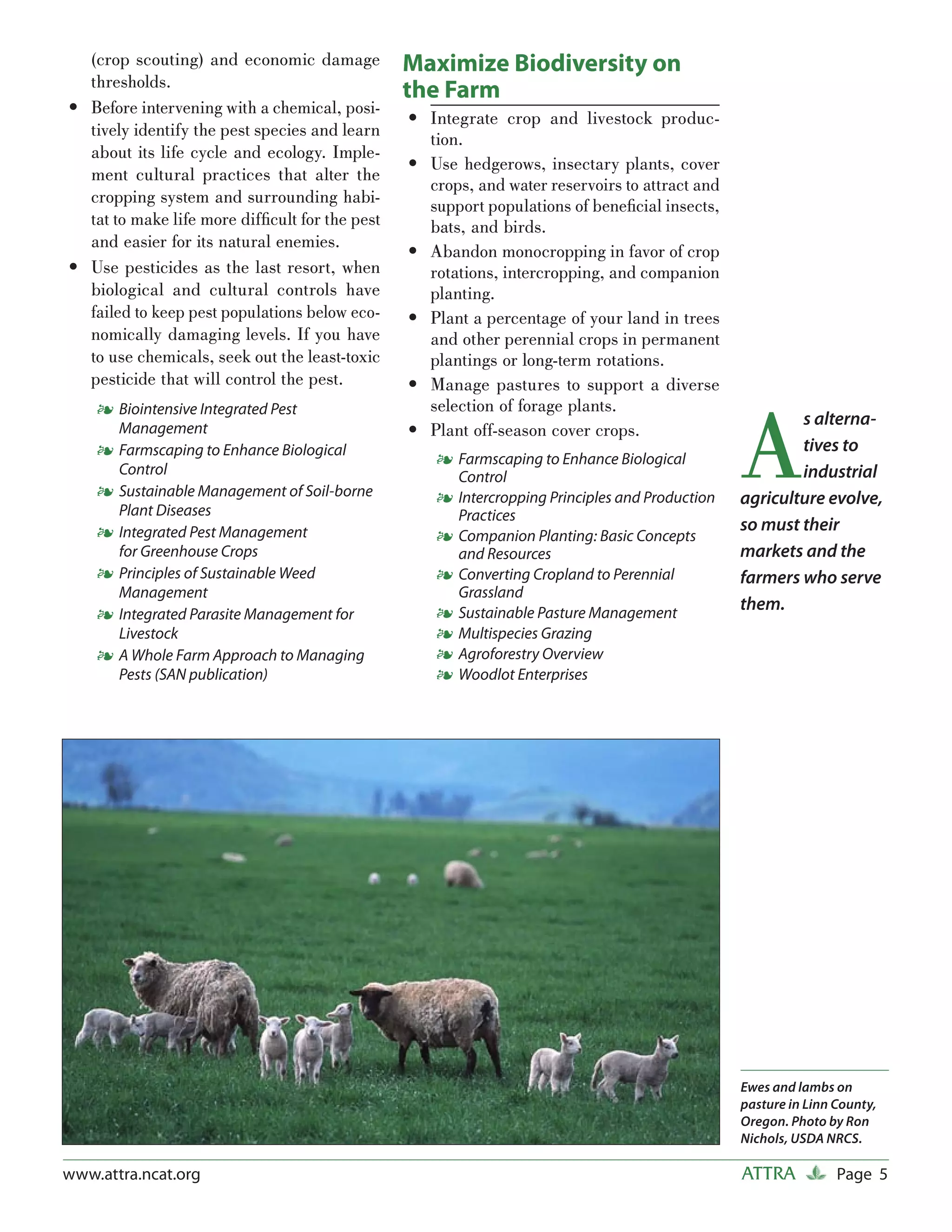 Sustainable Agriculture: An Introduction | PDF