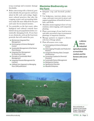 Sustainable Agriculture: An Introduction | PDF