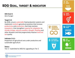 Sust Agriculture SDG 2.4.1_ENGLISH | PPTX | Agriculture | Industries