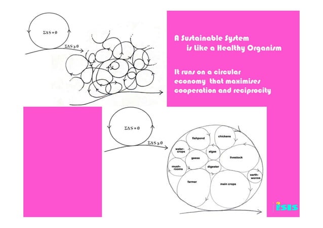 Dr Mae Wan Ho - Sustainable Agriculture essentials | PDF