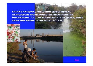 Dr Mae Wan Ho - Sustainable Agriculture essentials | PDF