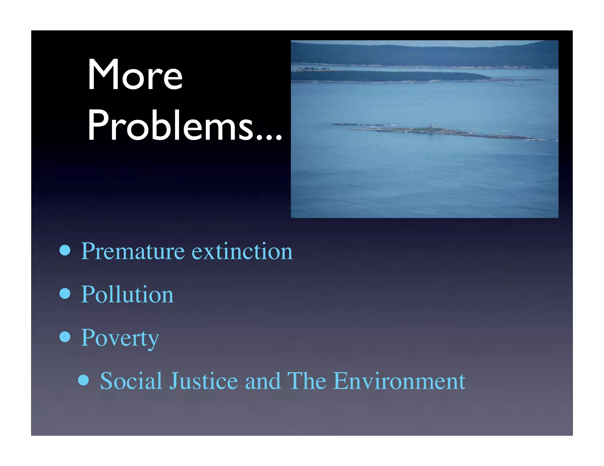 Sustainability & Environmental Problems | PDF