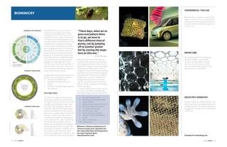 Sustainability: a Primer | PDF