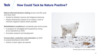 Teck Sustainability Leadership | PPT