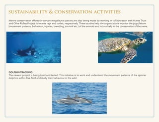 Sustainability-report-online.pdf