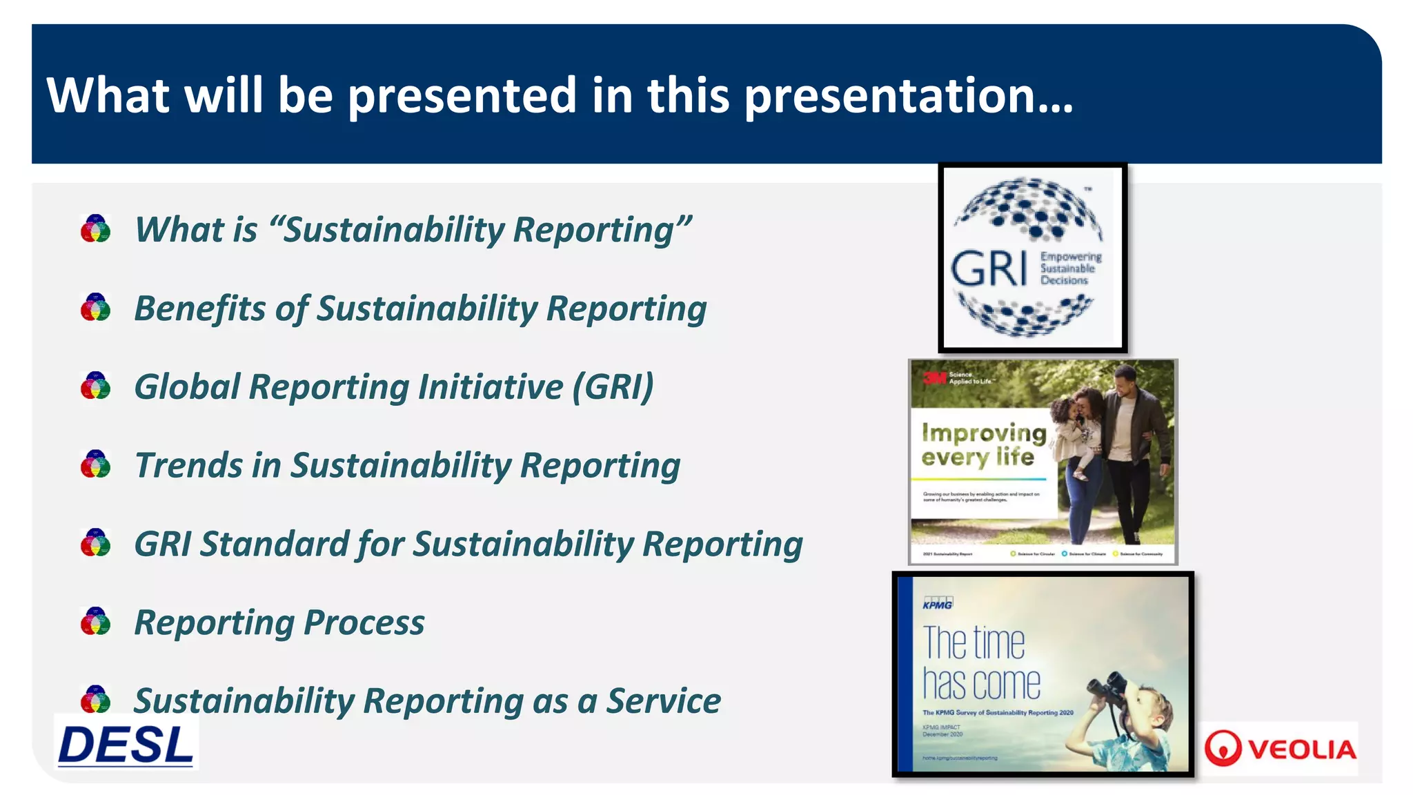 Sustainability Reporting Introduction Pdf