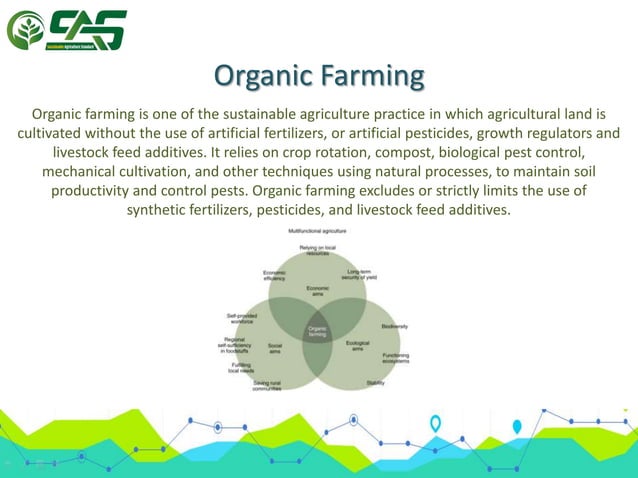 Sustainability Agriculture Standards (SAS).pptx