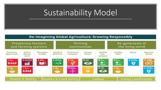 Sustainability assignment | PPT