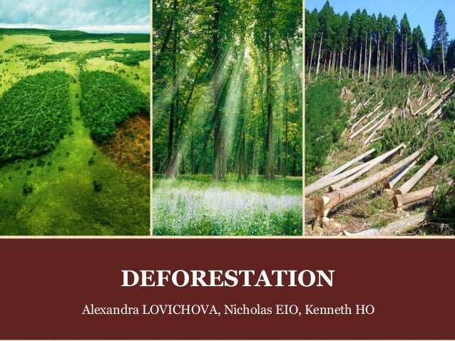 Deforestation: Causes, Effects and Solutions Deforestation: Causes, Effects and Solutions