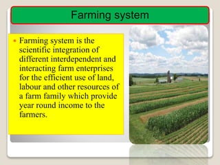 Sustainability in farming system | PPTX