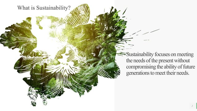 Sustainability in FMCG | PPTX | Environmental Services Industry ...