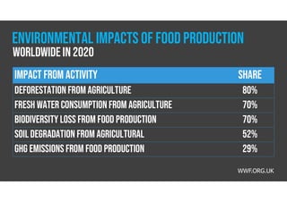 Sustainability in Food Systems | PDF