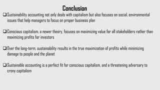 Sustainability issues in accounting | PDF