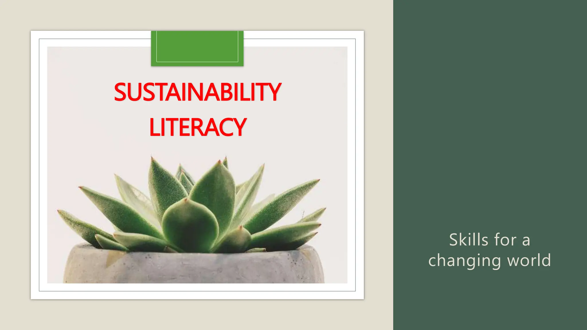 SUSTAINABILITY Literacy -Optimization.pptx