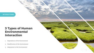 Powerpoint presentation for University lesson - Sustainability ...