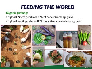 Sustainability project | PPT