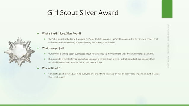 Sustainability project plan silver award - linkedin | PPTX