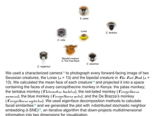 Sustainability superheroes meet the lorax activities | PPT
