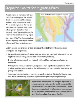Sustainability&Urban Ecology Training overview sm | PDF | Birdwatching ...