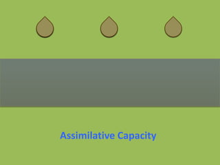 Sustainability: Water Pollution in New Zealand | PPTX