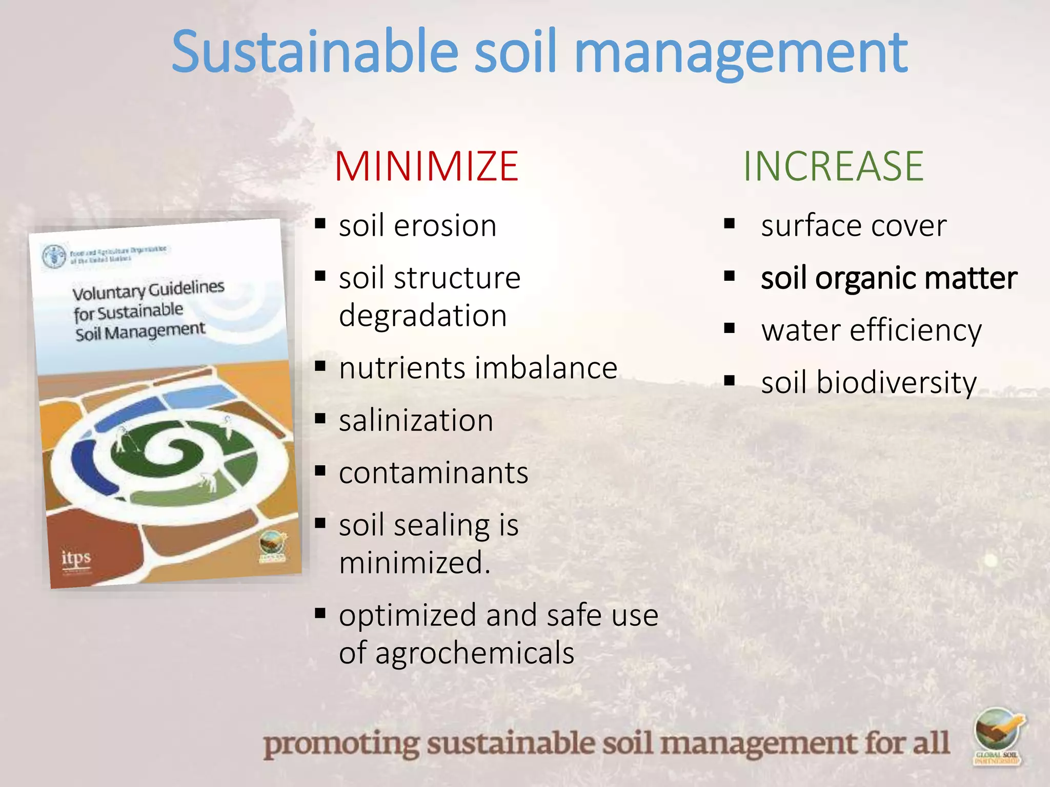 Sustainable Soil Management | PPTX