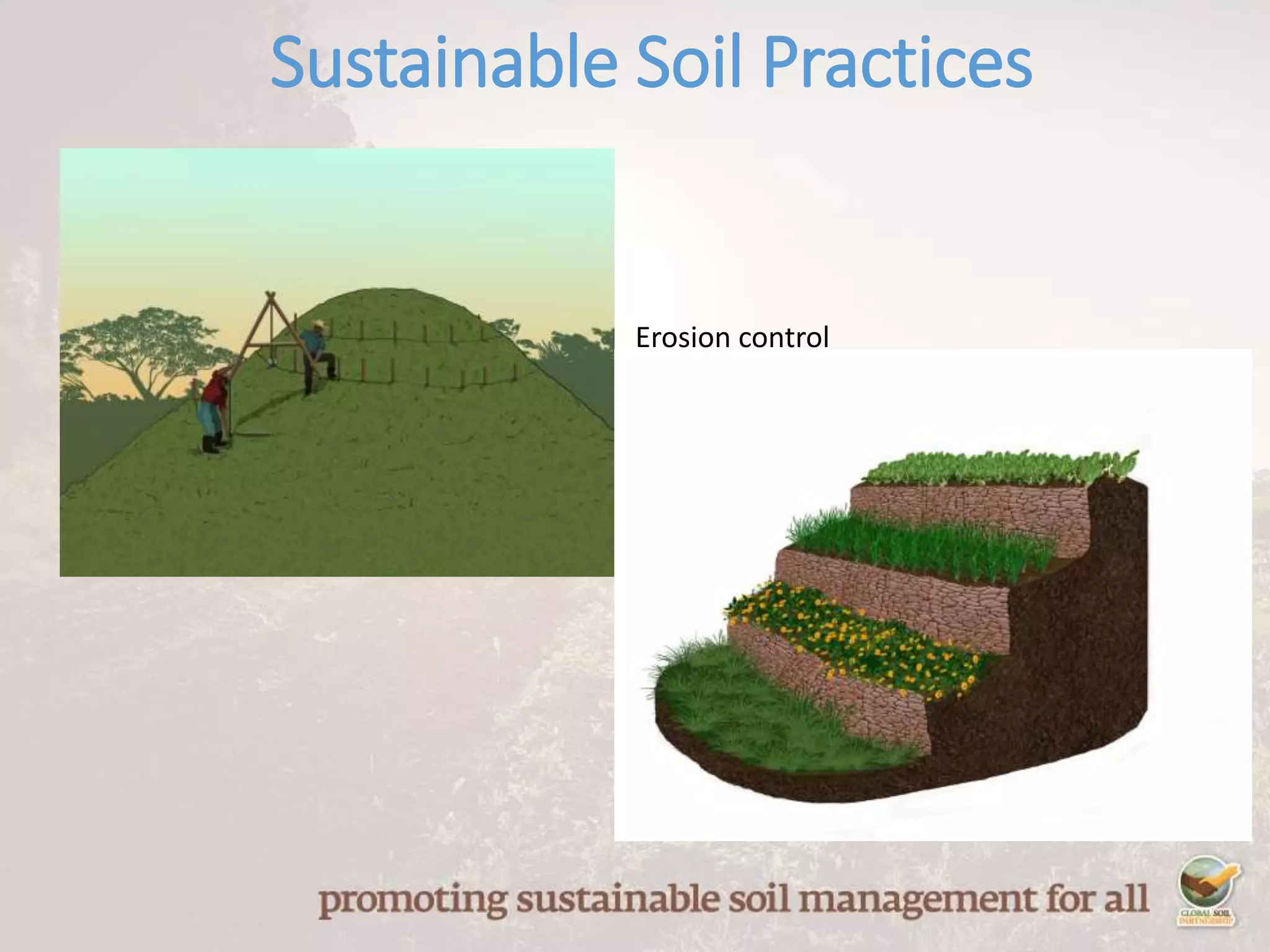 Sustainable Soil Management | PPTX
