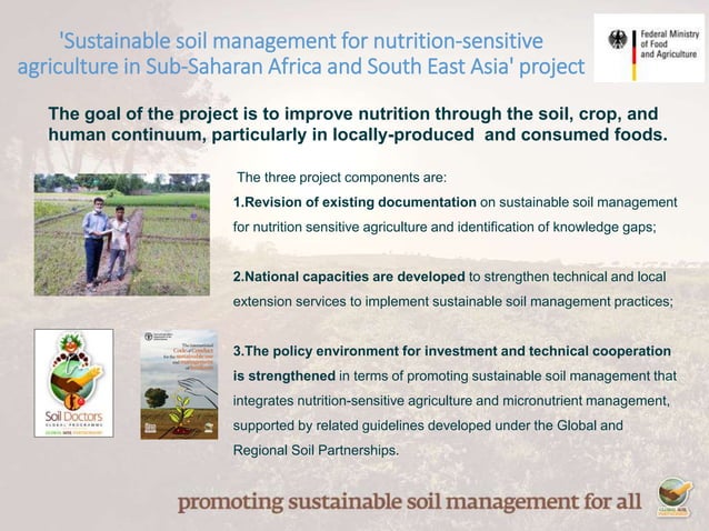 Sustainable Soil Management | PPTX | Agriculture | Industries