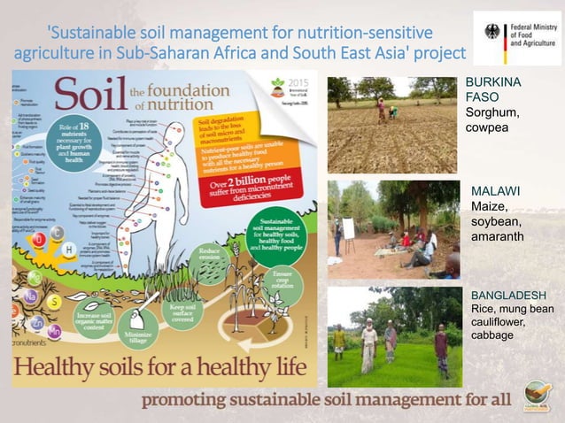 Sustainable Soil Management | PPTX | Agriculture | Industries