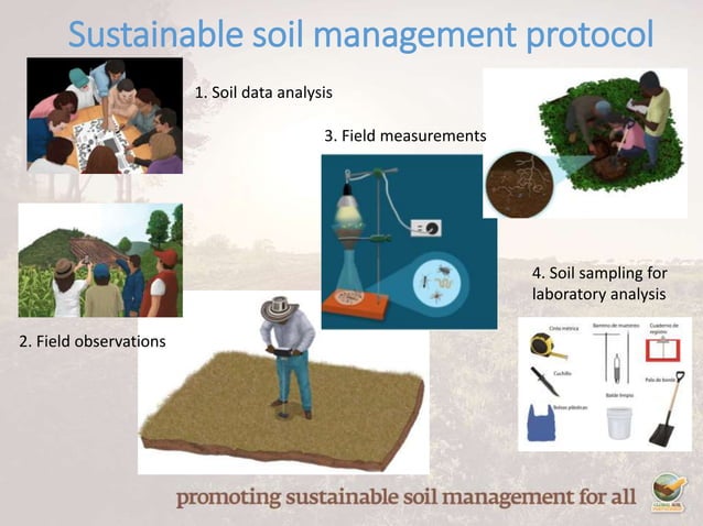 Sustainable Soil Management | PPTX | Agriculture | Industries