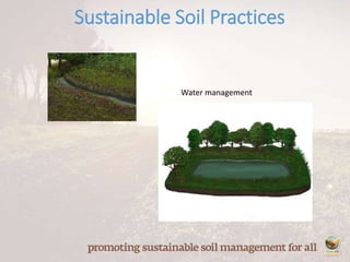 Sustainable Soil Management | PPTX