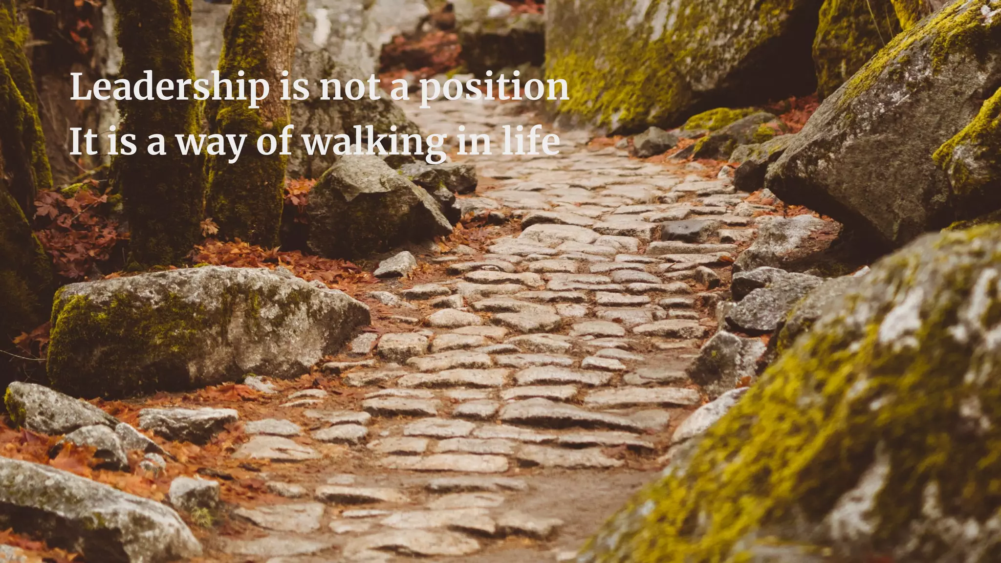 Sustainable transformation - you are of significance. How to be a ...