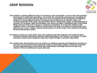 Sustainable agriculture By Allah Dad Khan | PPT