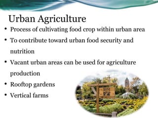 Sustainable agriculture | PPTX