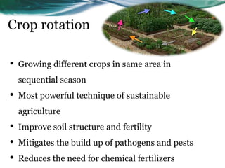 sustainableagriculture-180824184334 (1).pdf