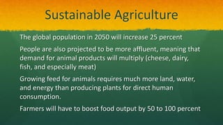 Sustainable Agriculture and the Future of Food | PPTX
