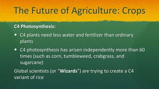 Sustainable Agriculture and the Future of Food | PPTX