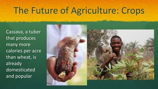Sustainable Agriculture and the Future of Food | PPTX
