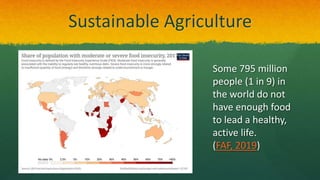 Sustainable Agriculture and the Future of Food | PPTX