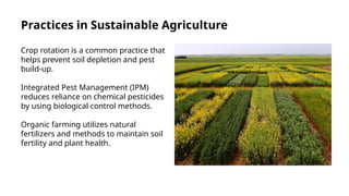 Sustainable Agriculture (1).pptx detailed | PPT