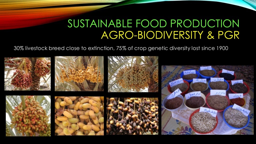 Sustainable agriculture for food security