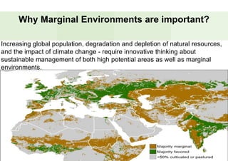 Sustainable agriculture for poverty reduction in marginal environments ...