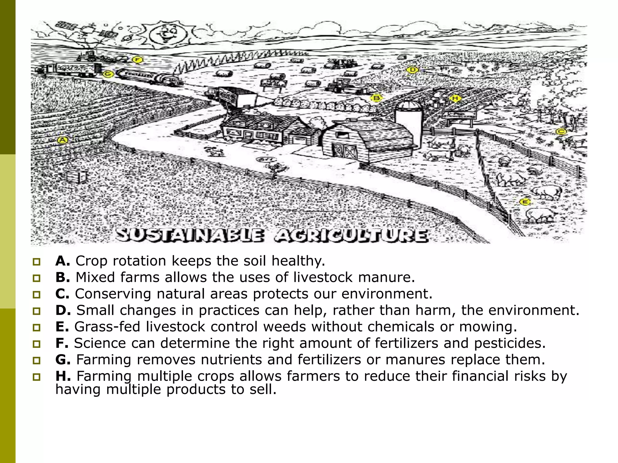 Sustainable AgricultureGreen.ppt | Agriculture | Industries