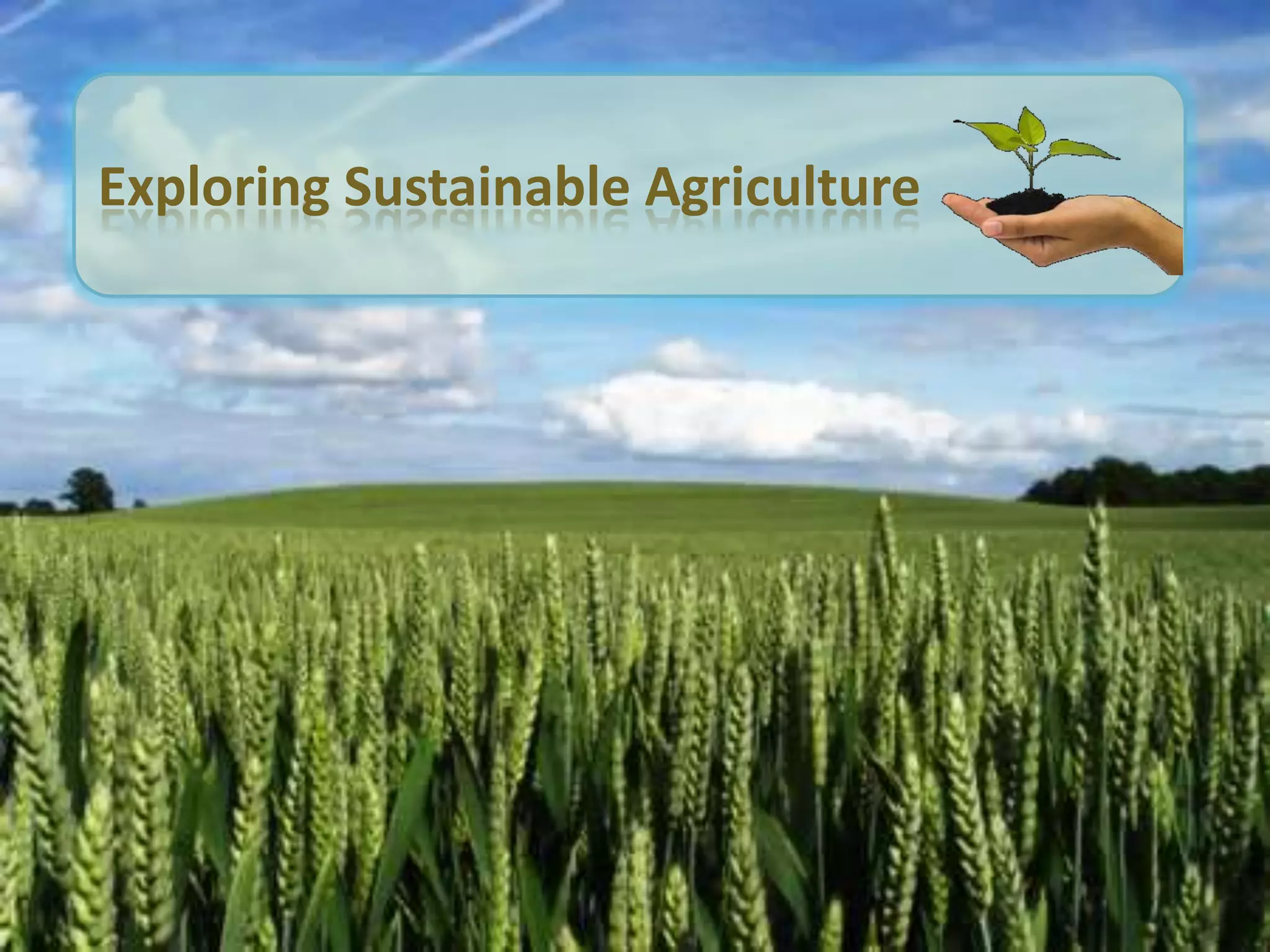 Sustainable Agriculture Presentation | PPTX