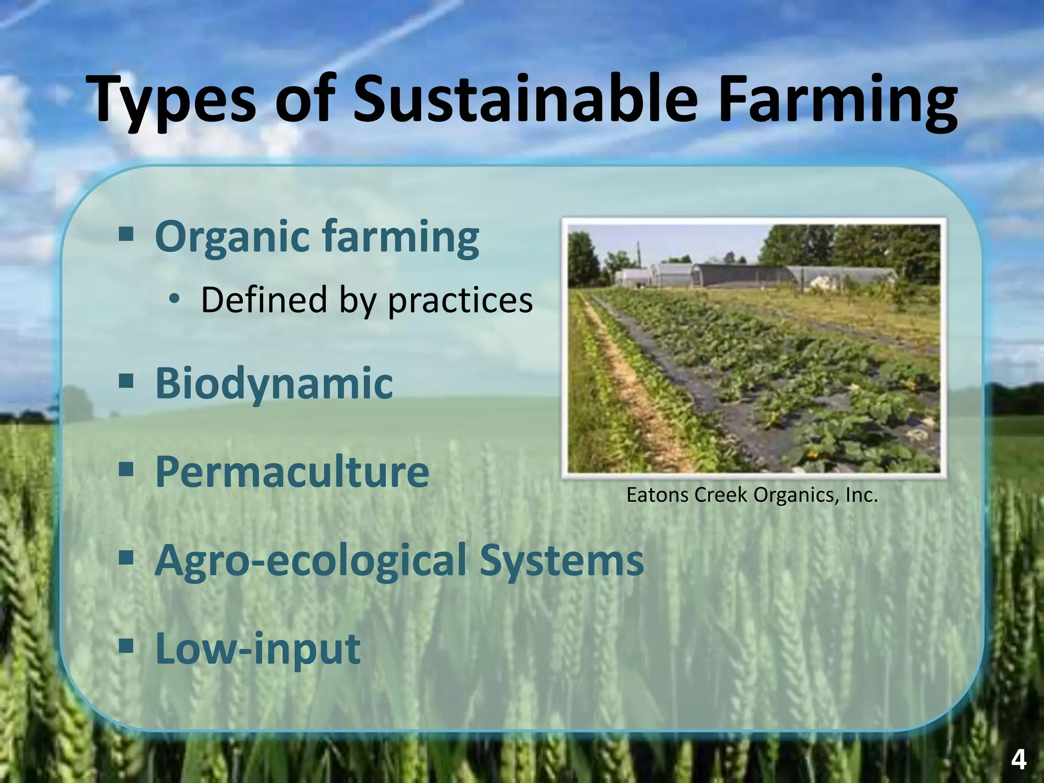 Sustainable Agriculture Presentation | PPTX